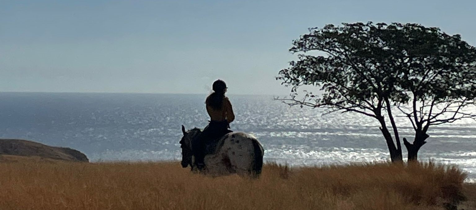 The Mind is like a Horse. Learn How to Ride It - Author Joanne Reed