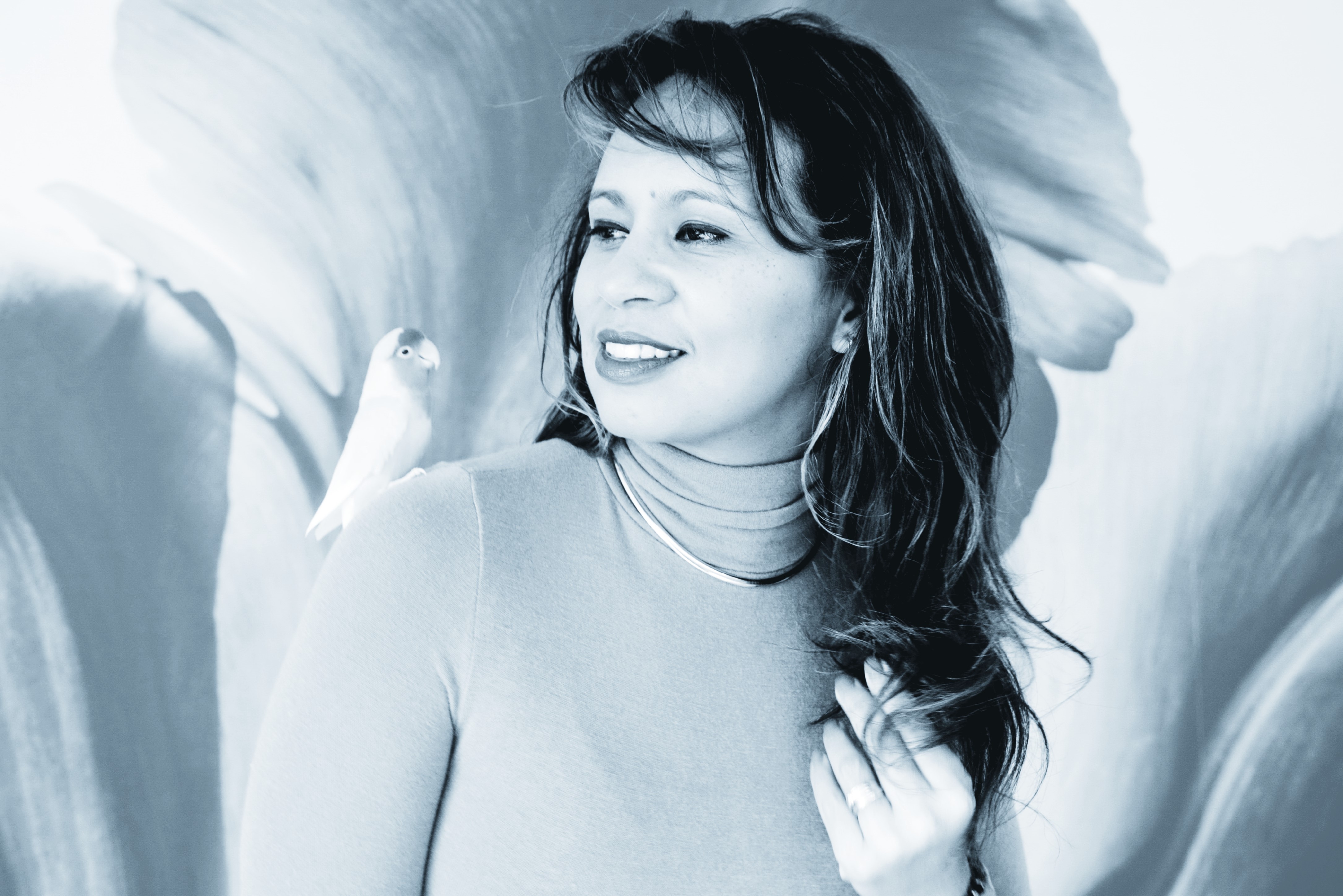 The Reed Manga Series - New Year - New You - Linkedin Video Camp ...